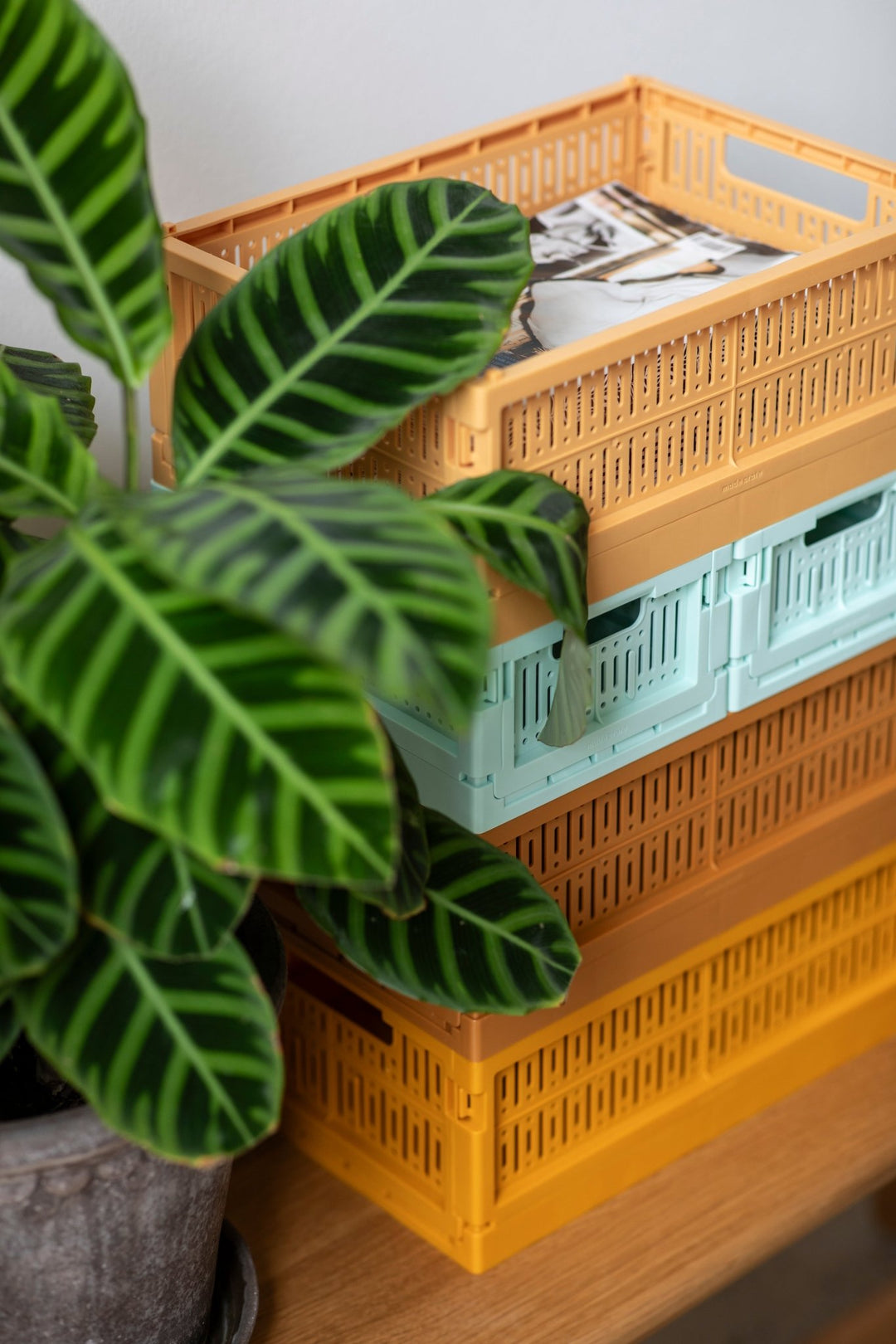 Midi krat | Made Crate | Fudge - wonder & melon